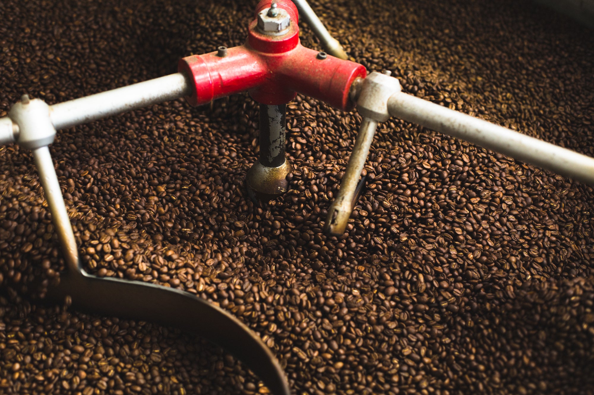 Gesha Coffee Co. Singapore – Gesha Coffee Co SG